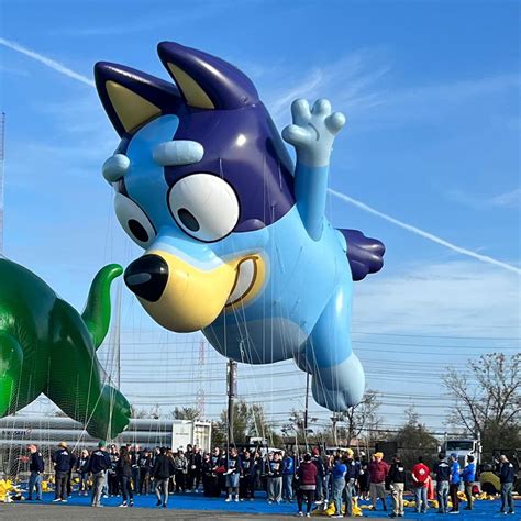 Counting Down To Macys Thanksgiving Day Parade® Bluey Official Website