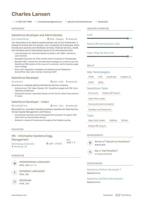 Top Salesforce Developer Resume Examples 9 Samples And Tips Bundle