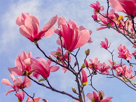 Chew Valley Trees Five Reasons To Visit Chew Valley Trees This…