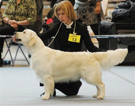 Sandusky Alain Prost X Bora Balta Letena « Retriveriai Lietuvos
