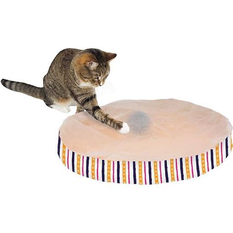 Turbo 22 In Random Roller Cat Toy