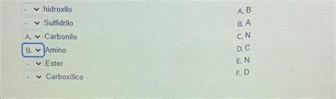 Solved Using The Following Figure Match The Functional Chegg