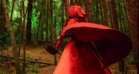 Little Red Riding Hood Woods