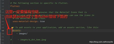 Flutter 加载本地图片出错exception Caught By Image Resource Servicehoneylife的