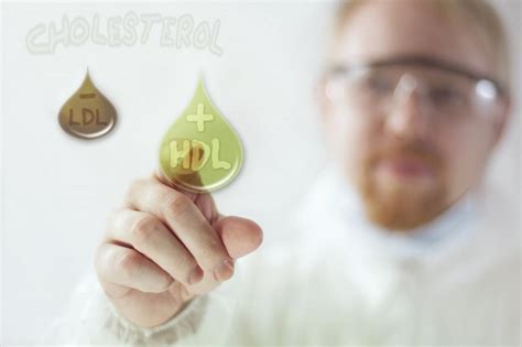 Chỉ Số Hdl Cholesterol Là Gì Cách Cải Thiện Hdl Cholesterol