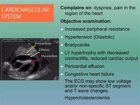 Hypothyroidism Evaluation And Management By Dr Selim Ppt Thyroid Hypothyroidism Evaluation And Management By Dr Selim Ppt Thyroid
