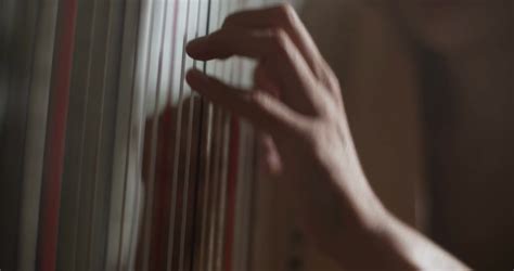 Hands Of Female Harpist Plucking Strings Of Stock Footage SBV 348470376 Storyblocks