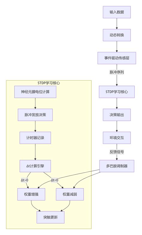 大脑的毫秒级学习密码：stdp spike timing dependent plasticity 如何重新定义神经网络进化法则 csdn博客