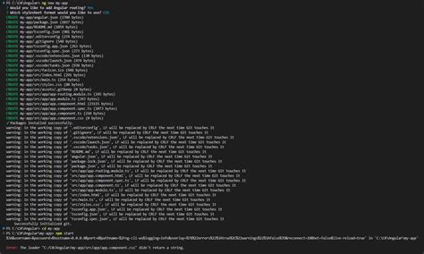 Javascript Cant Run The Newly Created Angular Application Stack