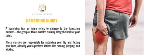 Torn Hamstring Recovery Time