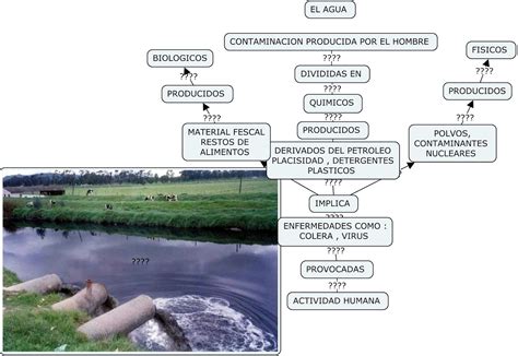 Colegio Primario Julio Cortázar Mapas Conceptuales Sobre Problemas