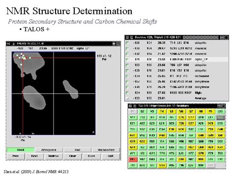 nmr structure determination with the nmr assignments and