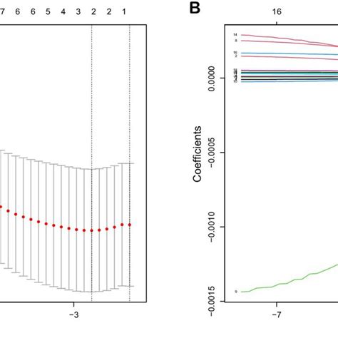 Lasso Regression Model In The Tcga Training Cohort A Selection Of Download Scientific