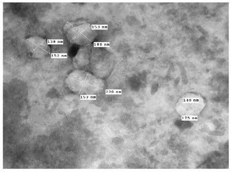 Lsd Nodules From Infected Cattle Eev Form Tem Negative Staining Download Scientific Diagram