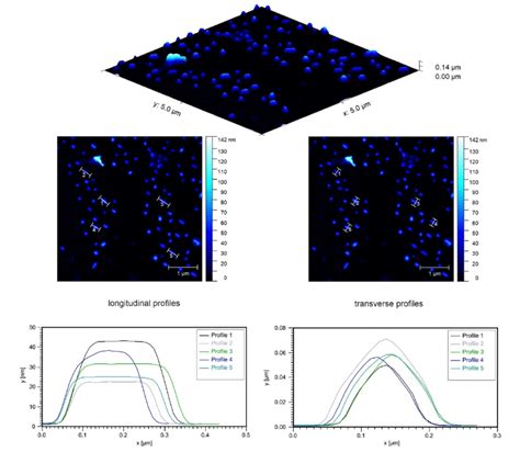 The Morphology Of Clopyralid Microstructures Formed On The Silicon