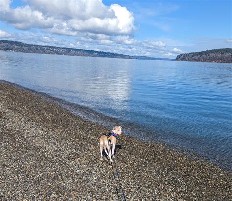 Lucios First Time At The Beach R Velvethippos