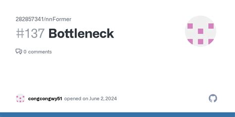 Bottleneck Issue NnFormer GitHub
