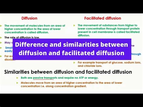 Facilitated Diffusion Examples