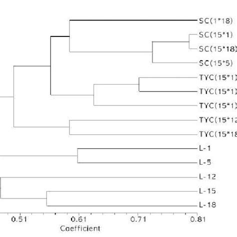 dendrogram of cluster analyses for maize genotypes according to issr