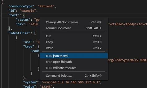 github laggery vscode fhir tools