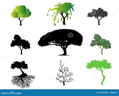 Different Types Of Trees Stock Vector Image Of Green