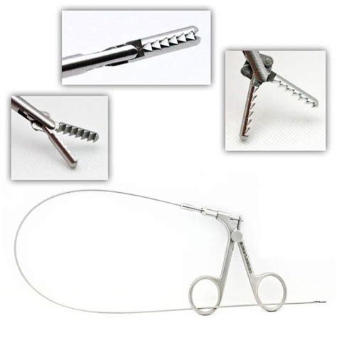 Gaab Grasping Forceps With Teeth Grasping Instrument With Pictures And Names Cstsetup
