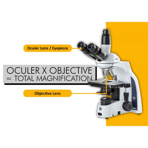 Empty Magnification Dan Numerical Aperture Pada Lensa Mikroskop