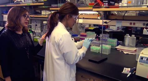 VIDEO Safety Procedures For Handling Sharps