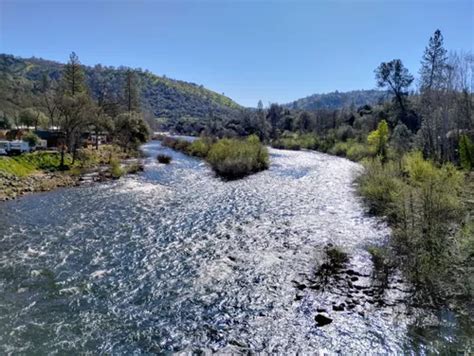 Best Forest Trails In Garden Valley Alltrails