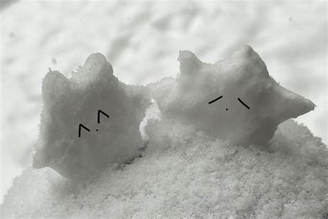 علت بیرون آمدن بخار از دهان در زمستان؛ تستچی