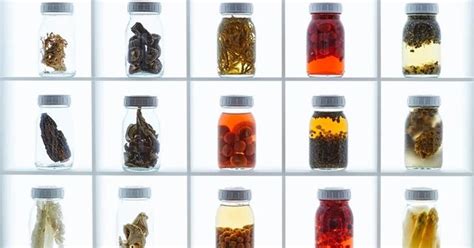 덴마크 코펜하겐 알케미스트 가장 창의적인 레스토랑 중 하나로 손꼽히는 이유