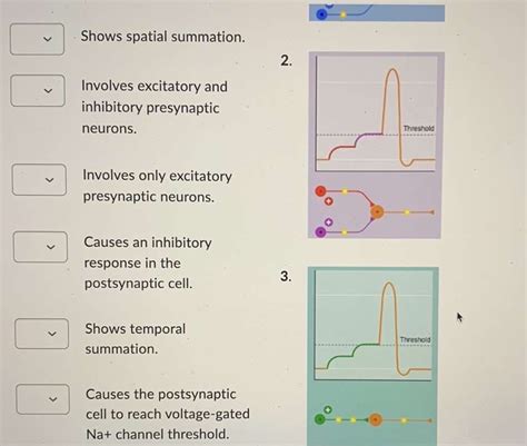 Solved Match The Following Examples Of Neural Computation