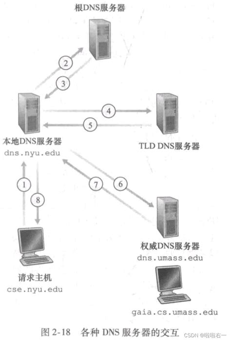 计算机网络｜第二章：应用层 结合某一应用层应用 根据互联网分层体系结构和各层执行实际协议 详细分析其数据传 csdn博客