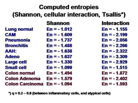Computed Entropies Of The Model No Direct Association Of Amount Of Download Scientific Diagram