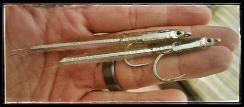 Pin By Mark Davis On Saltwater Fly Patterns Saltwater Flies Fly