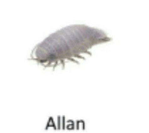 92 Bugs With Names Ideas To Save Today Hi Welcome To Chilis Bugs