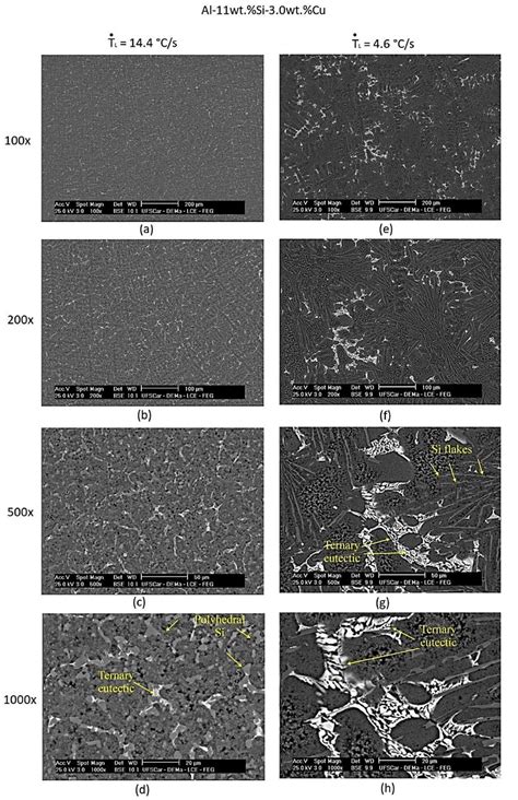 Transverse Scanning Electron Microscopy Sem Microstructures Related