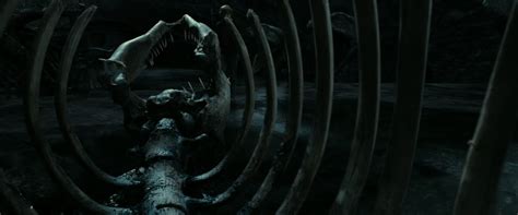 Image Basilisk Skeleton  Harry Potter Wiki Wikia