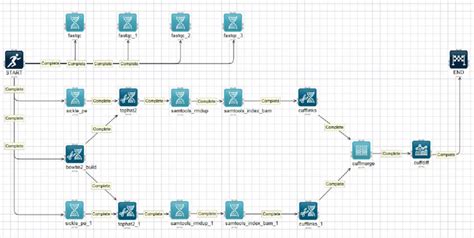 Screenshot Of The RNA Sequencing RNA Seq Schematic Diagram And Its Download Scientific