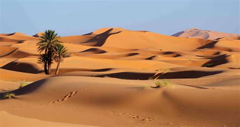 40 Sahara Desert Facts About The Great Desert Of Africa Facts Net