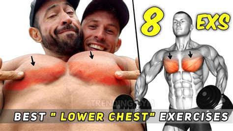 Tone Your Lower Chest With These 7 Effective Exercises Lower Chest