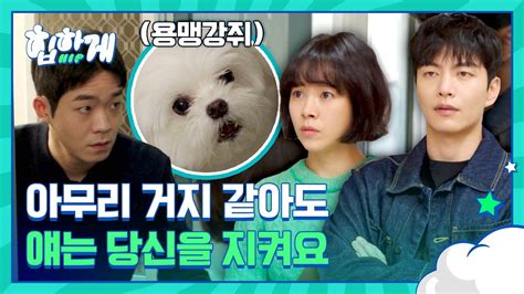 눈물 주의😥 자신을 버린 전 주인을 지키는 용맹 강아지 두부🐶💧 힙하게 5회 Jtbc 230826 방송 Youtube
