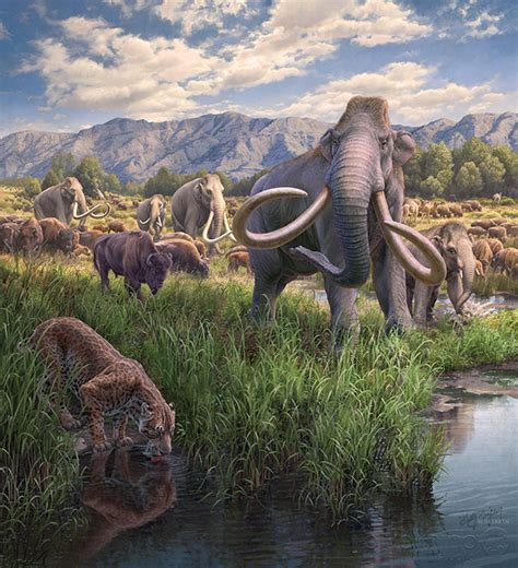 Ice Age Fossils State Park Mammoths At The Springs Behance