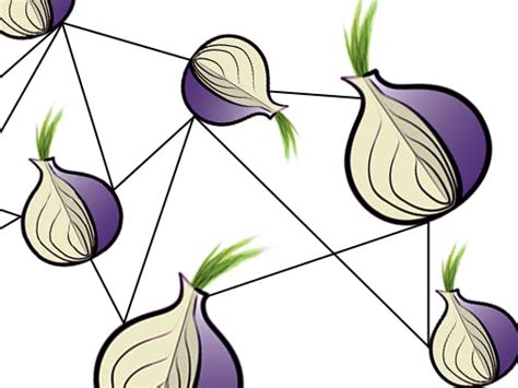 Onion Harvester First Step To TOR Search Engines Mir Saman Tajbakhsh