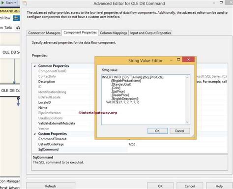 OLE DB Command Transformation In SSIS