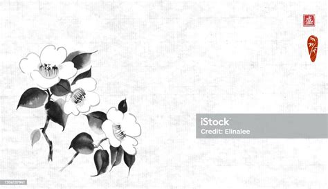 텍스트에 대한 장소와 쌀 종이 배경에 흰색 카멜리아 꽃 전통적인 동양 잉크 페인팅 스미e U죄 고화 상형 문자의 번역 꽃 0명에 대한 스톡 벡터 아트 및 기타 이미지