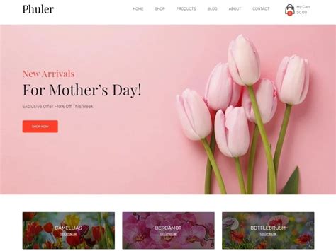 A Customized Shopify Store Upwork