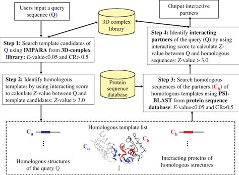 overview of the 3d partner server for inferring interaction partners