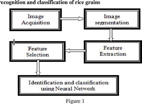 Figure From Identification And Classification Of Rice Varieties Using Neural Network By