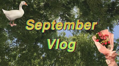 Vlog 9월 브이로그 김망고의 소소한 일상 엿보기👀 가족들친구들 그리고 망고와 함께한 9월 동성로 수성못